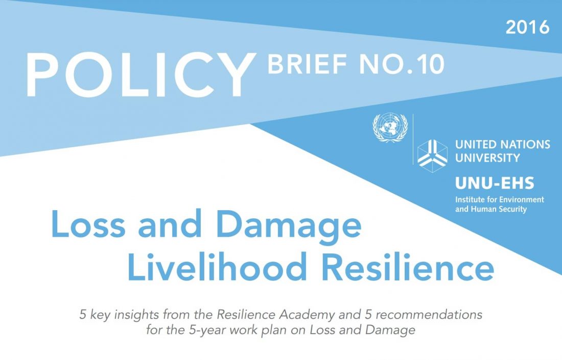 Loss and Damage Livelihood Resilience | International Centre for ...