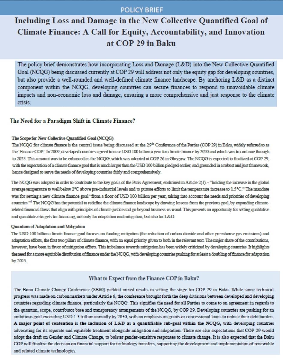 Inclusion of Loss and Damage as a Subgoal in the New Collective ...