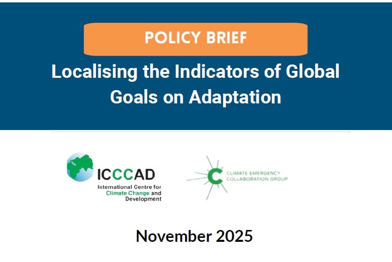 Policy Brief | Localising the Indicators of the Global Goal on ...